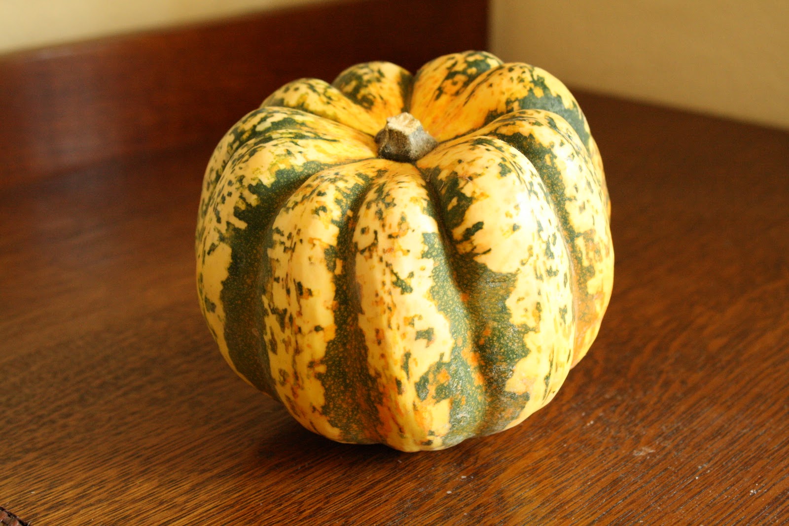 Ancient Wisdom, Modern Kitchen Blog: Vita-Mix Adventures with Squash Soup