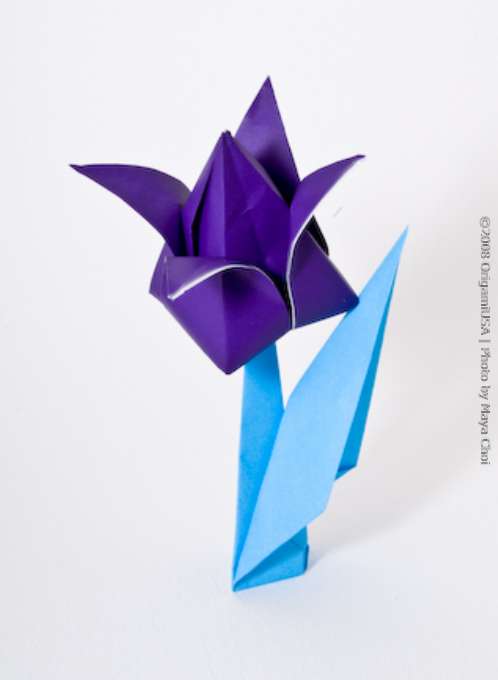 Hobi Pasajı: Origami Lale