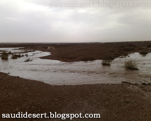 The desert of Saudi Arabia