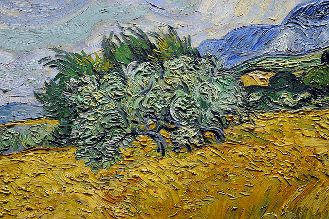 November | 2010 | Alberti’s Window