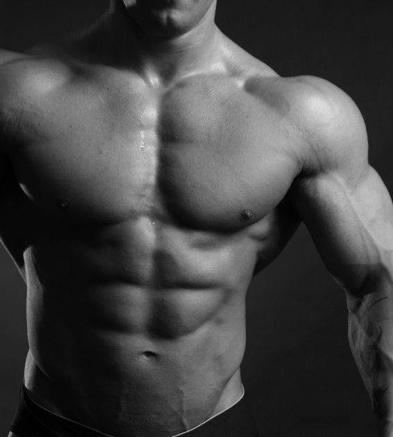 Yoga Fitness: MUSCLE BUILDING TIPS