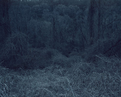 Nymphoto: Picture of the Week: Anna Collette