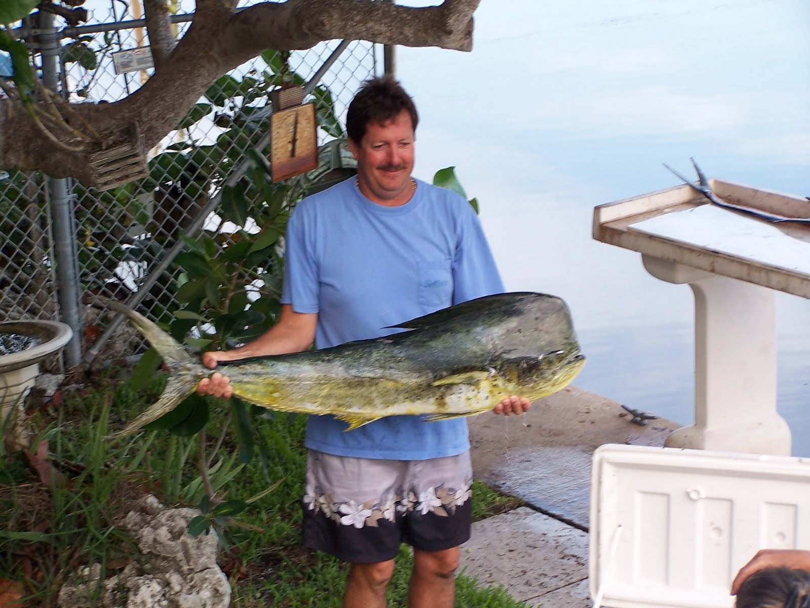 Get Your Kicks At Sea: Florida - a haven for wildlife