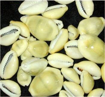 Santería Milagrosa: Leyenda del Diloggun