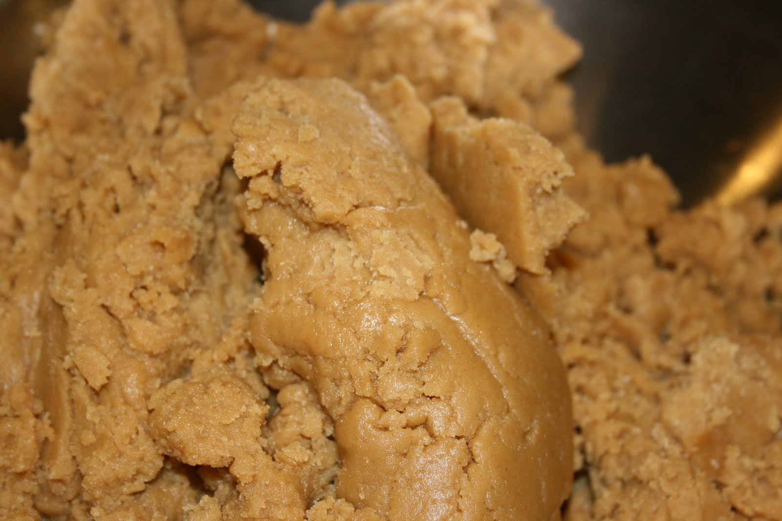 Peanut Butter Coconut Chipsters