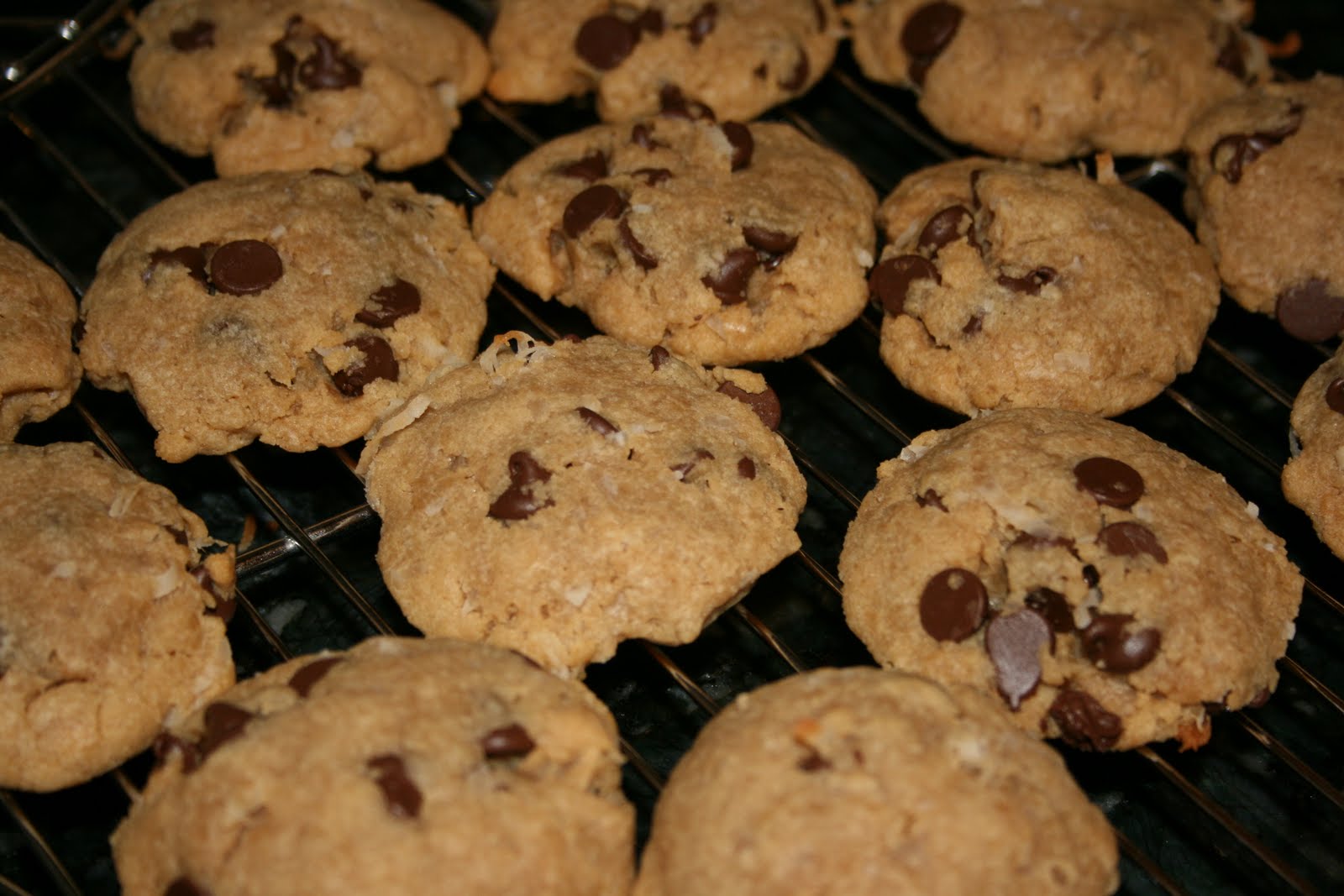 Peanut Butter Coconut Chipsters