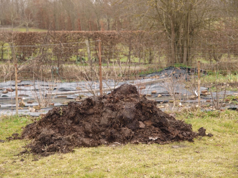 La Sapience: Een hoop stront op het erf
