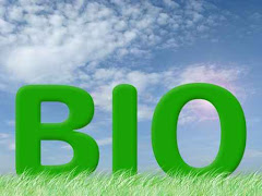 Bio blog: informazioni e curiosità sul mondo del biologico...