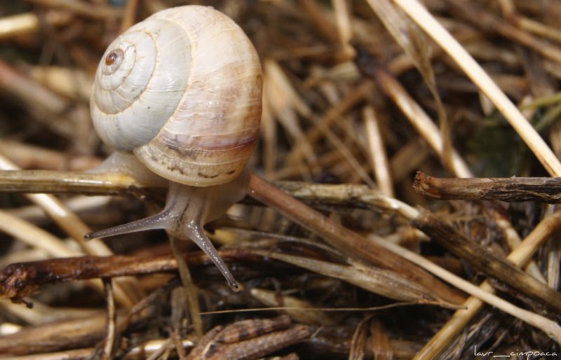 (c)Photography beyond words,poze,fotografii,photo from Romania: Helix ...