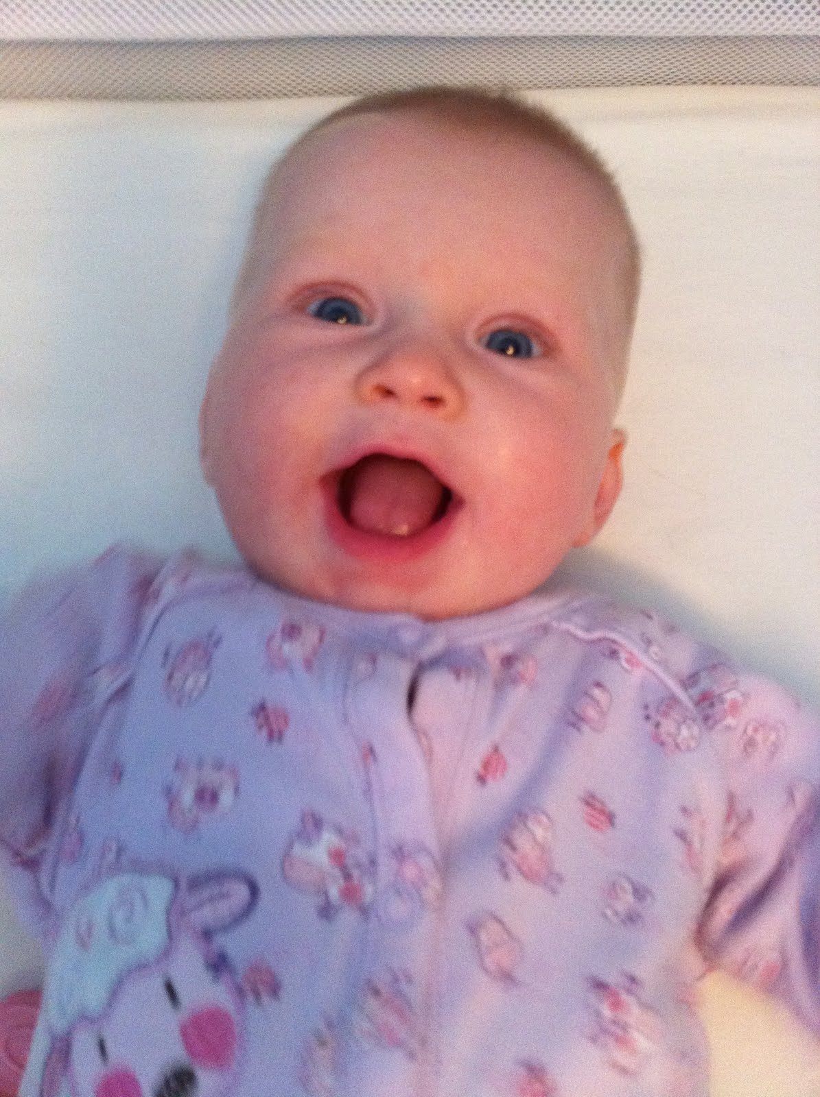 The Sieglette: August 2010