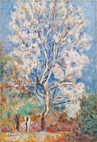 L'arbre aux questions: L'amandier Bonnard
