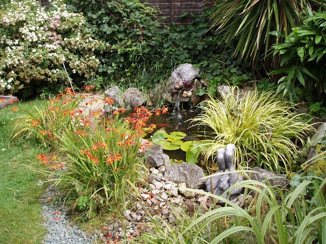 L.A. RosieGardens: George Bentham (English Botanist) 1800-1884