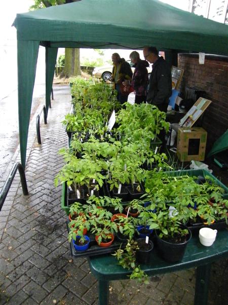 Snappy's Gardens Blog: Walton Plant Stall 2010
