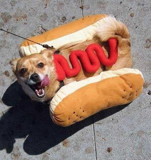 Cierran restaurantes que vendían perro asado - Taringa!