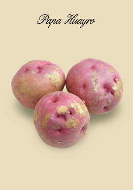 alimentos peruanos.: 11/02/10