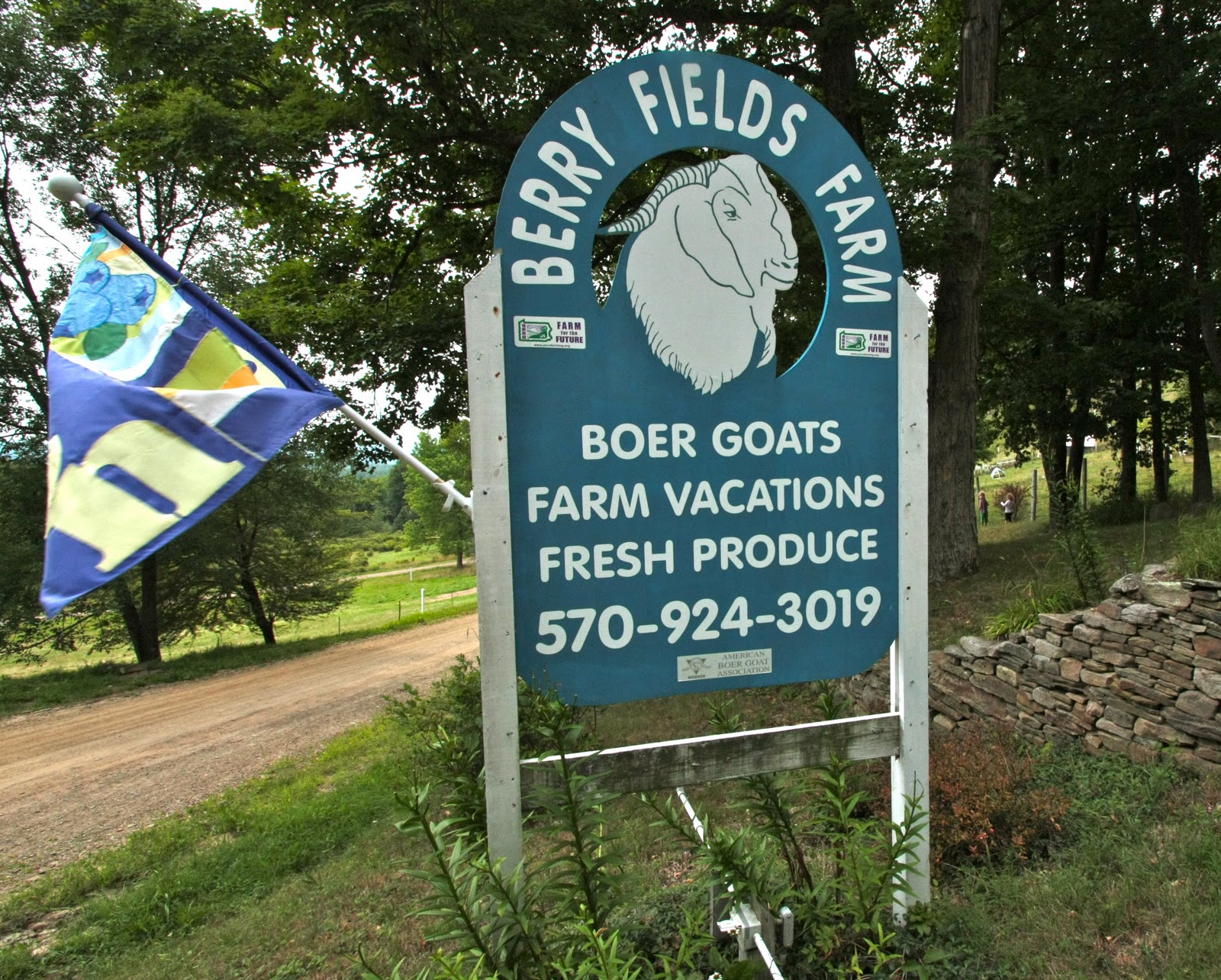 The Farm Stay Project