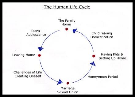 My Palace, My symphony of life and the rhythm in My heart: The ...