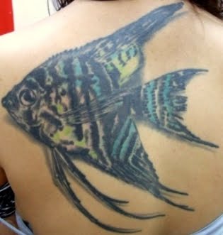 fish tattoo