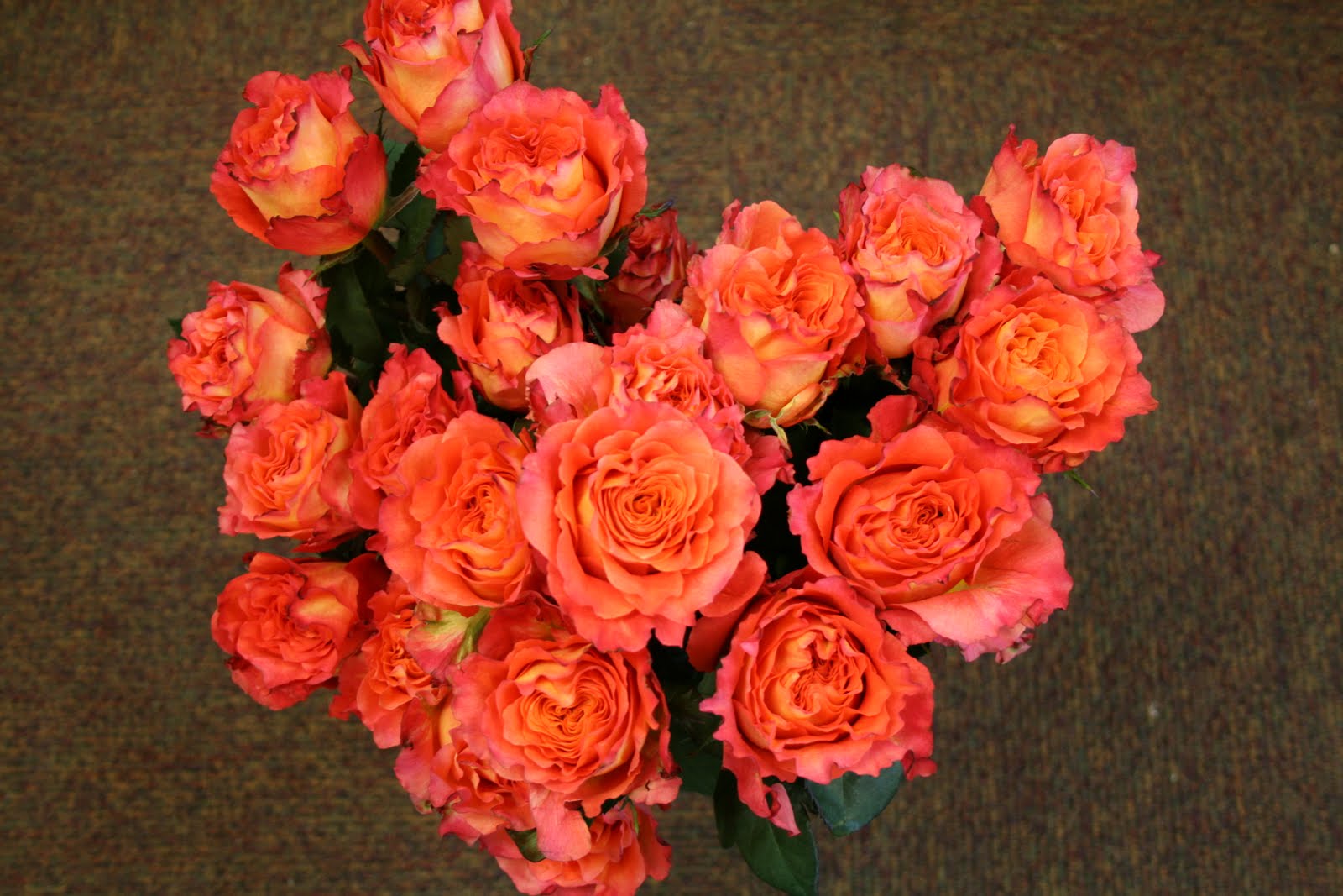 A. Perri Farms: May 2010