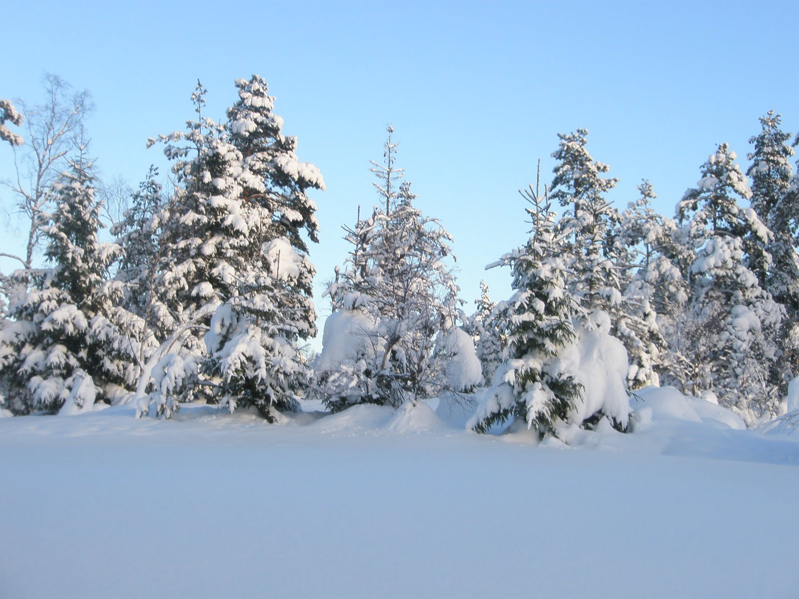 Vårt hus: Vinter....