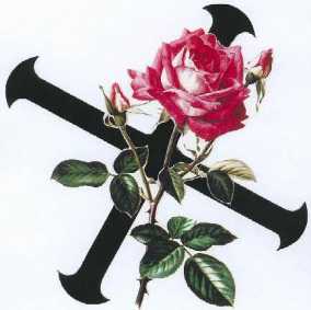 Think it over: Rosa Croce - Christian Rosenkreuz - The Chemical Wedding ...