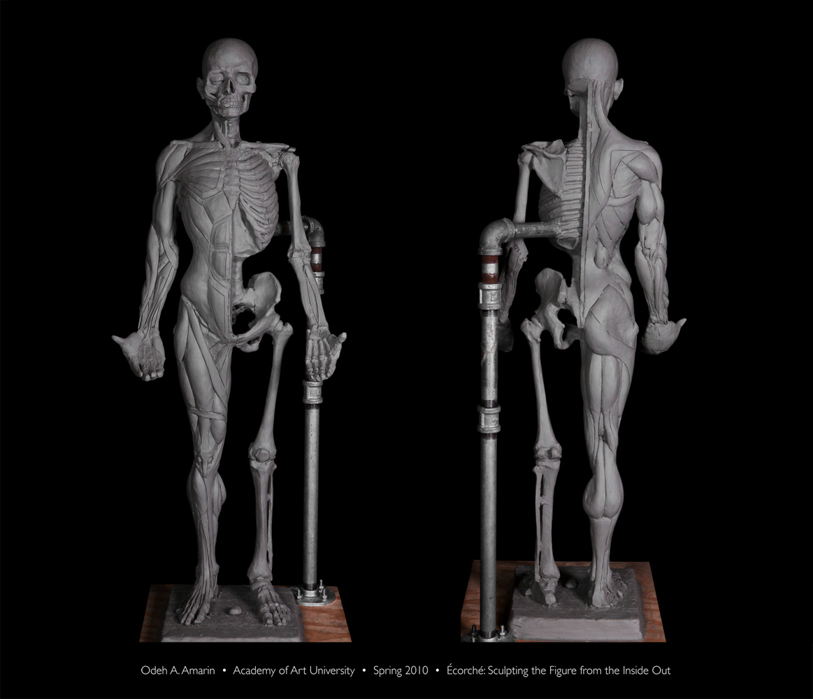 Odeh A. Amarin / Visual Art & Illustration: Écorché
