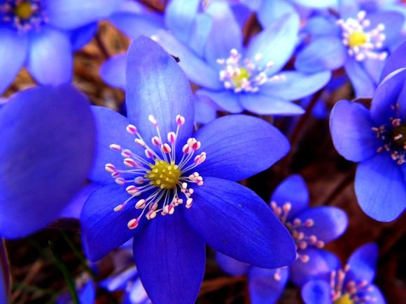 Kai jauti kiekvieną šypseną: pavasari,