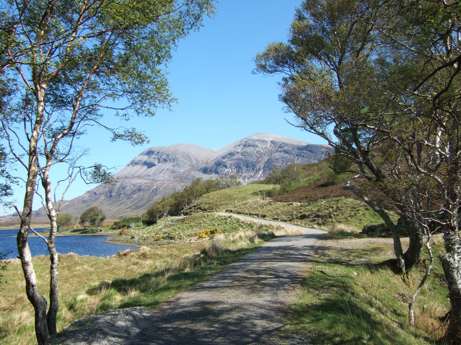 Walk and Hike in Scotland: Arkle Sutherland North West Scotland