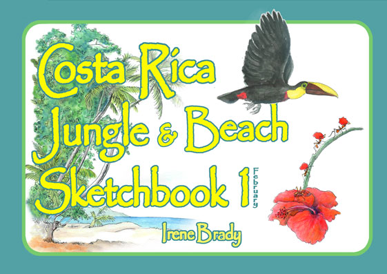 Nature Drawing and Journaling Trips : Costa Rica Jungle & Beach ...