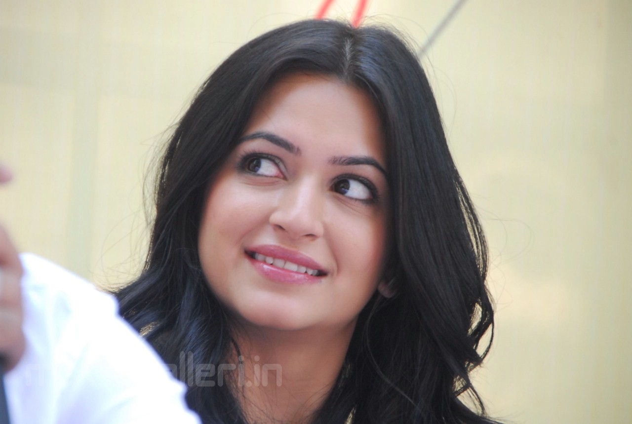 Kruthi Kharbanda Latest Cute Wallpapers, Kruthi Kharbanda New Stills ...