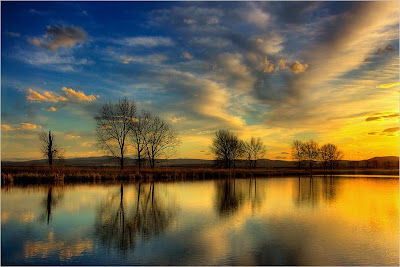 Content in a Cottage: Random photos I've been saving