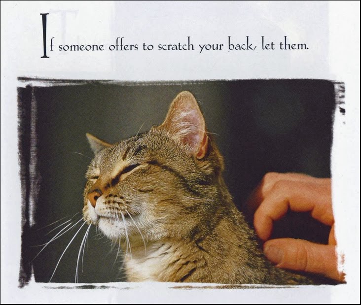 Back Scratches Quotes