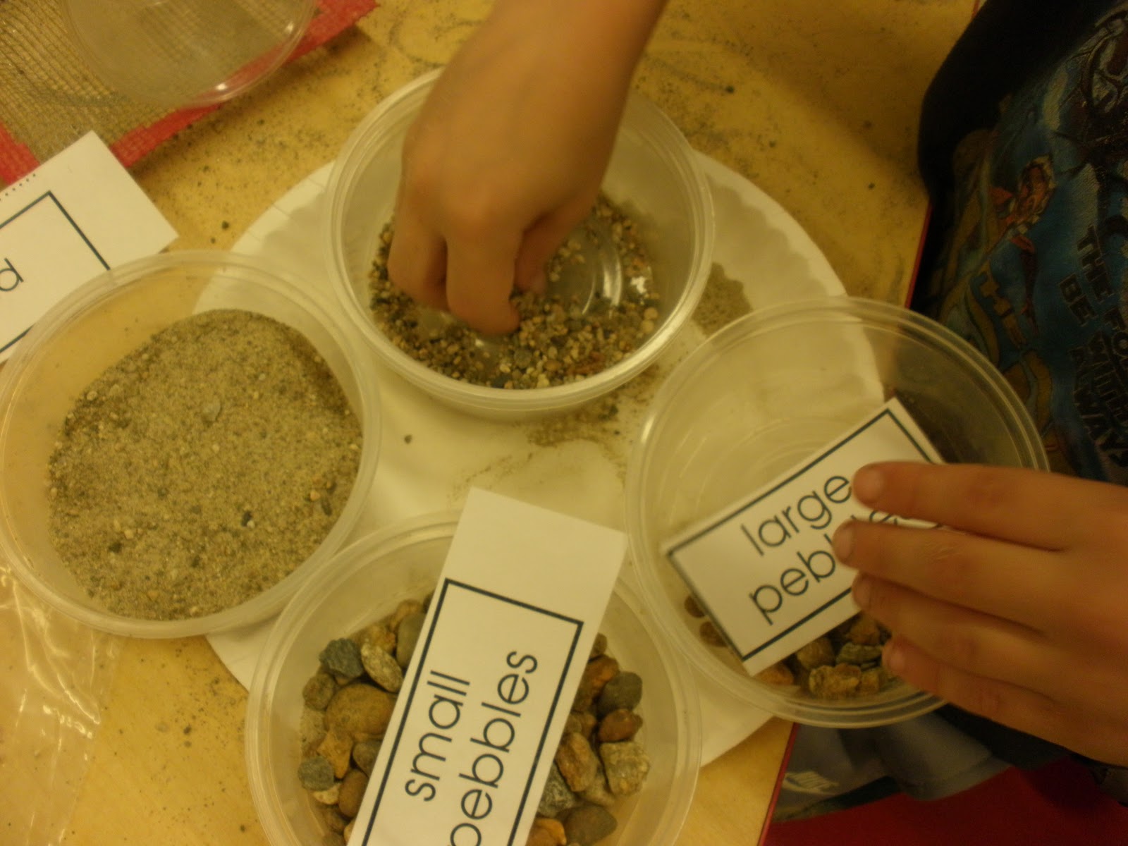 Mrs.McAuliffe's Class at Forest Park: Pebbles, Sand, and Silt
