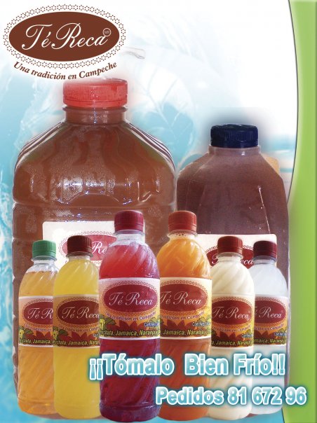 CAMPECHE Y LAS MICROEMPRESAS