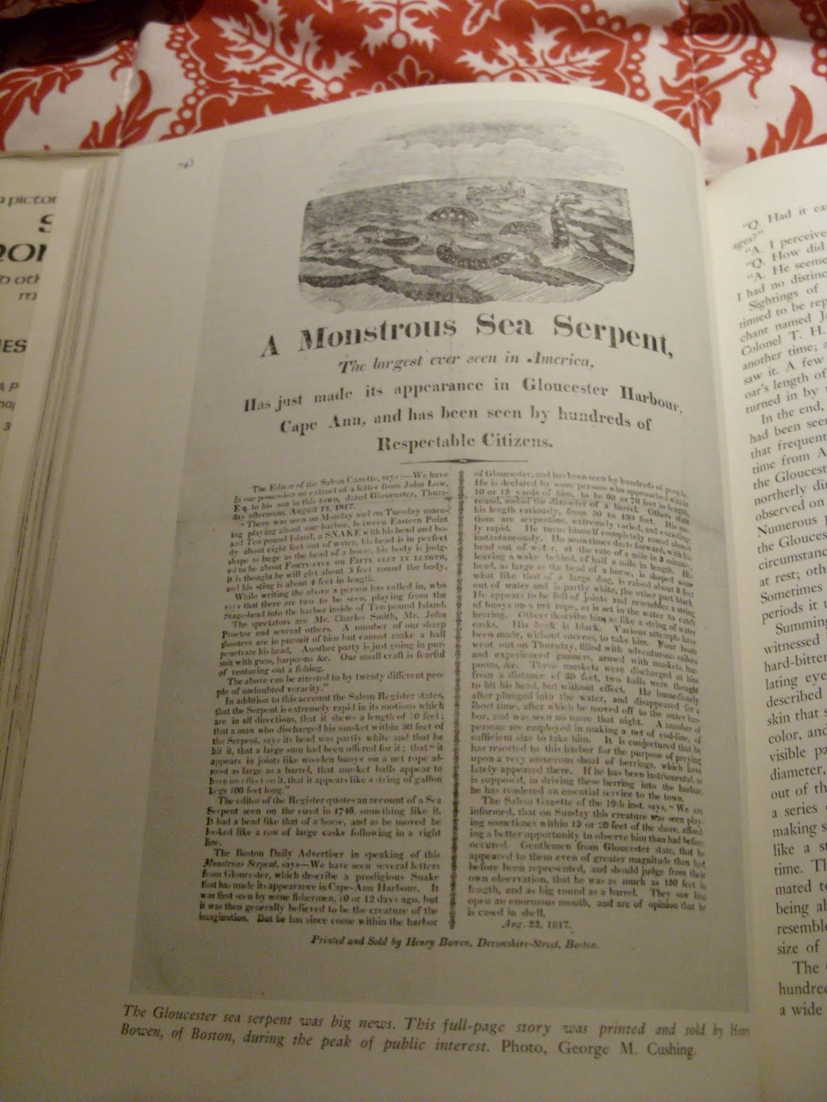 wandering genie: The Haunted Bookshelf