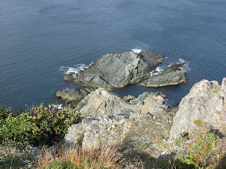 The Rypple's: Beothuk Indians, Airplanes, & Logging in New Foundland