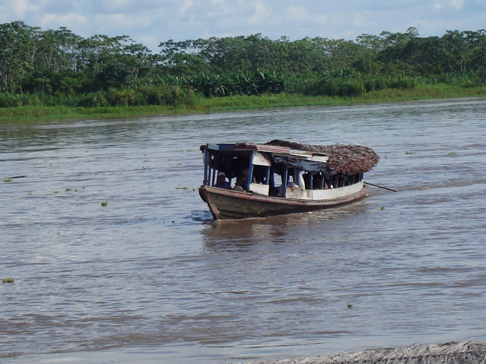 Mi Tambor de Hojalata: LOS OMAGUA