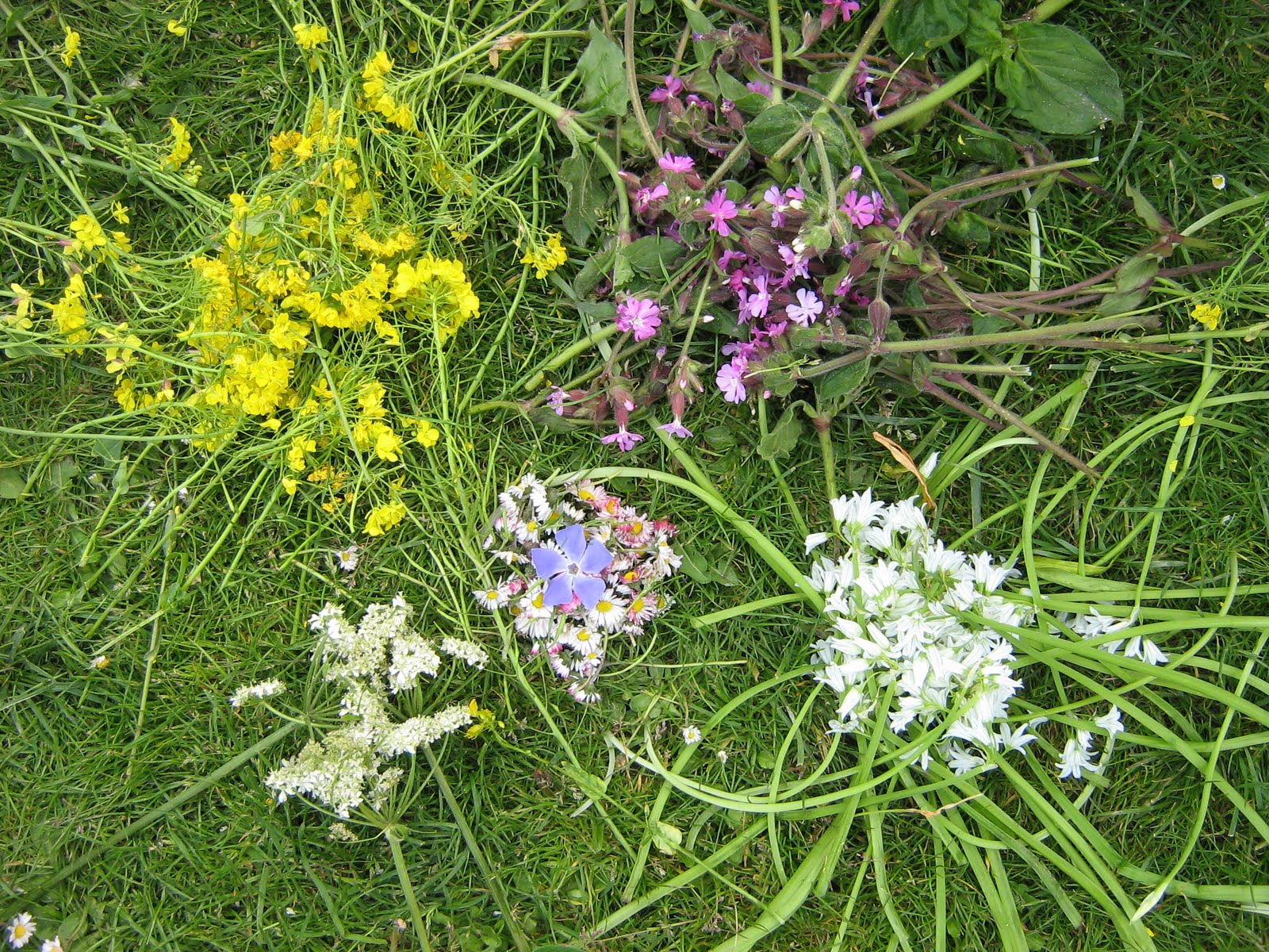 SETS-See Europe Through Stories