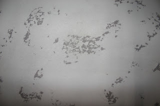 Finishing Acts: Lime Plasters: Stucco Lustro Stair Wall