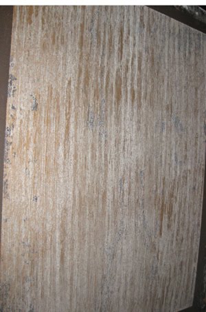 Finishing Acts: Faux Effects Luna Plaster