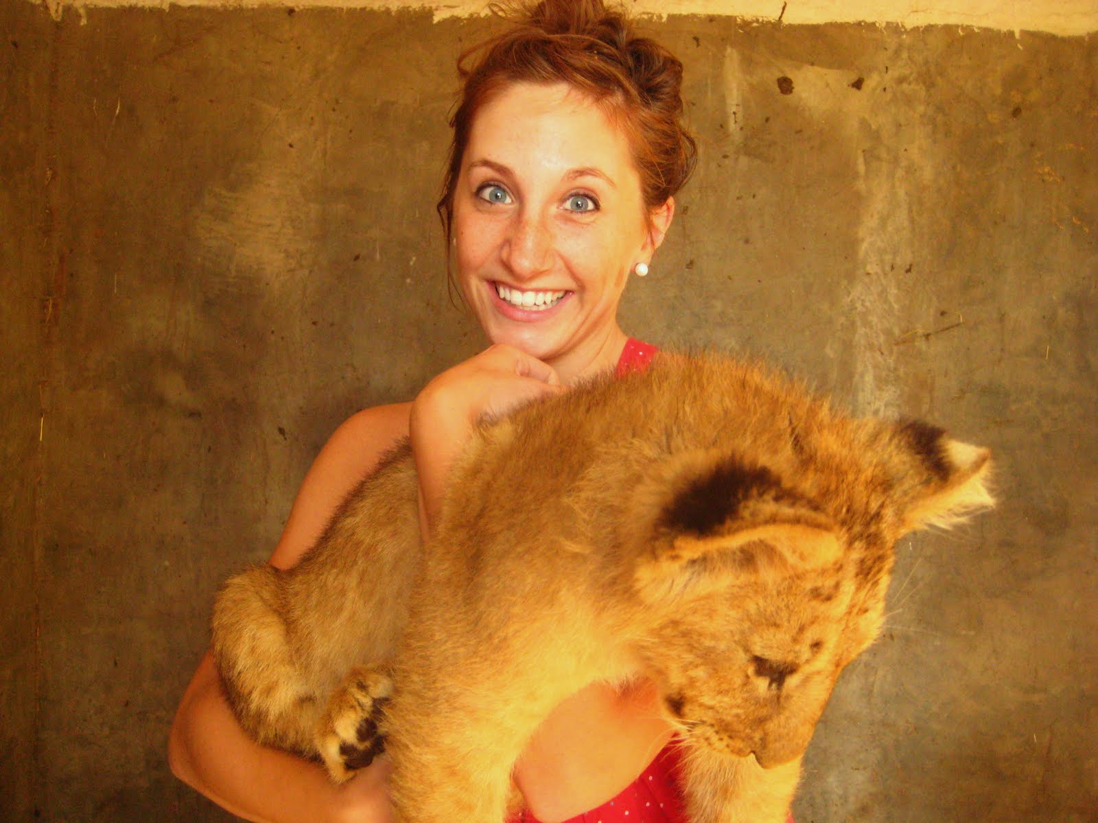 Leah in South America: Leonitas, or Another Animal Post