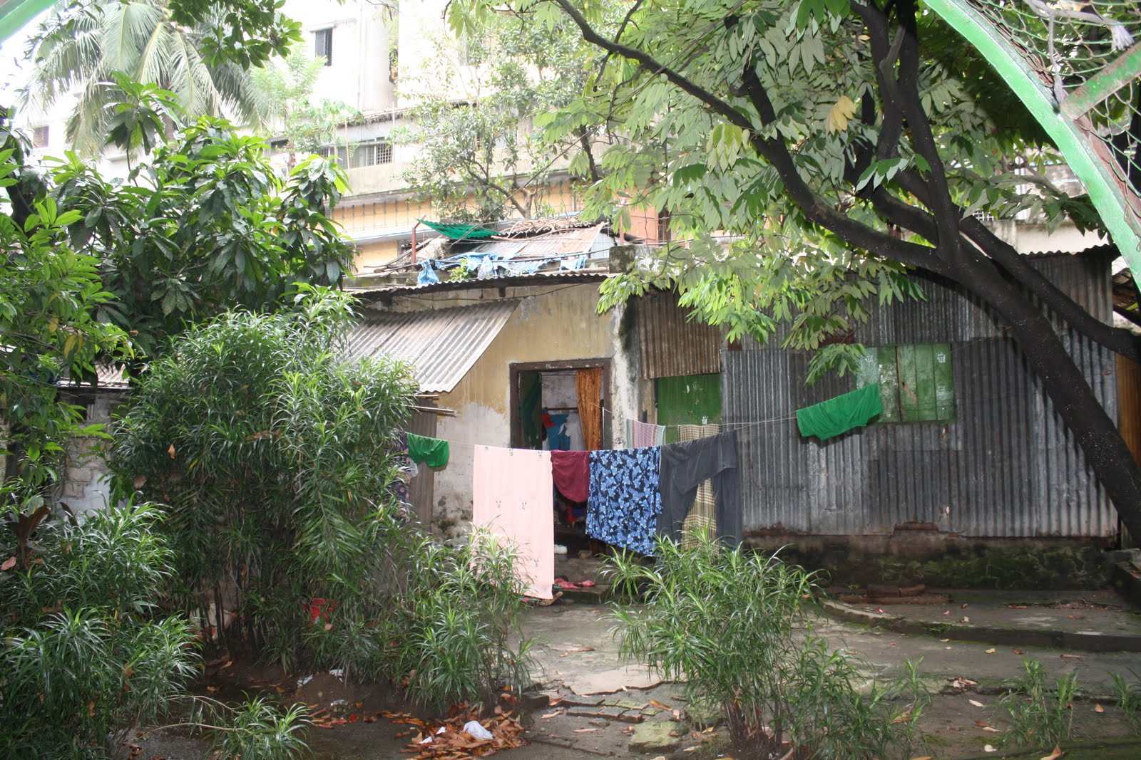 banglacissi: Balda Garden, Dhaka