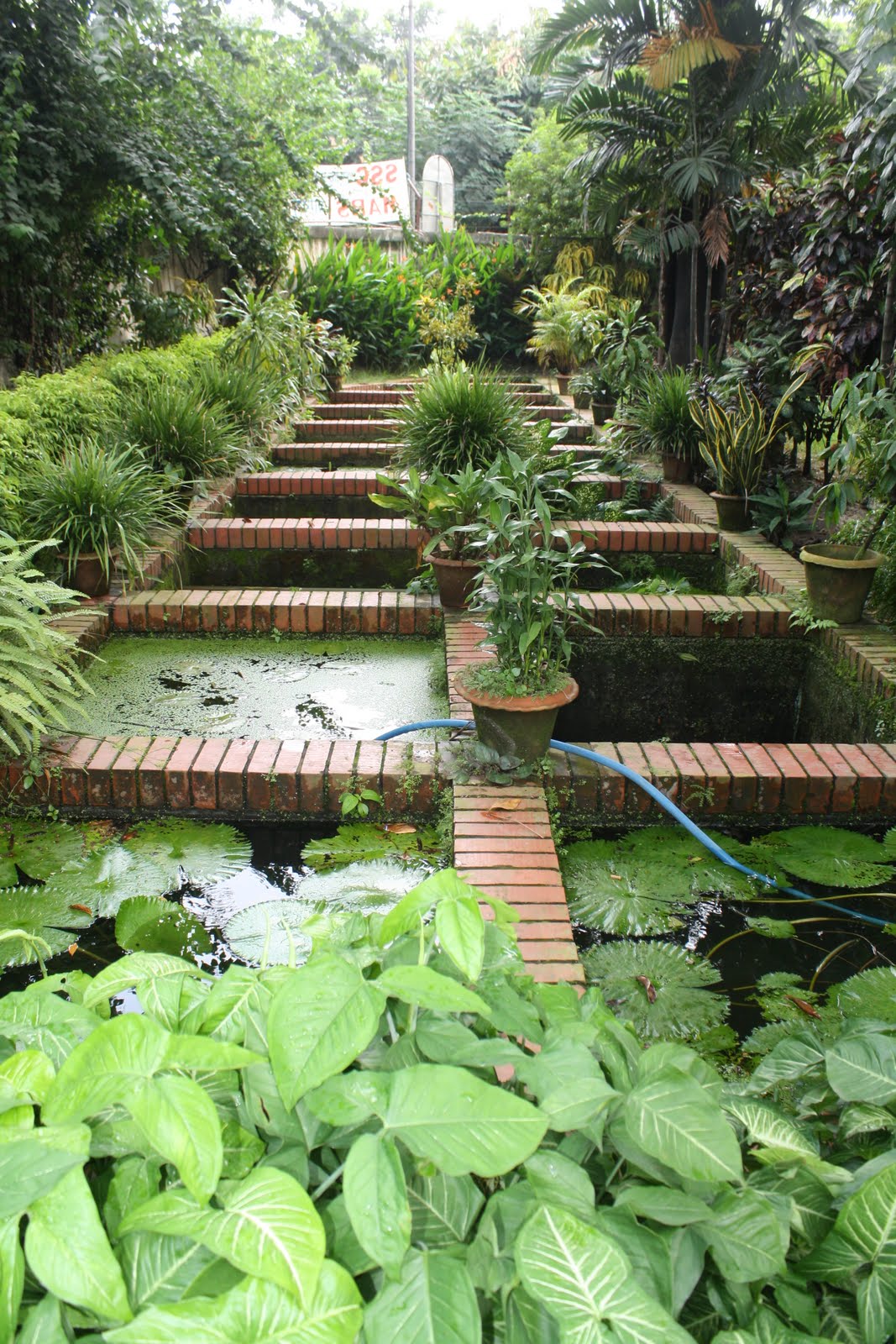 banglacissi: Balda Garden, Dhaka