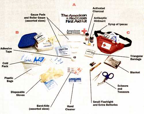 American Red Cross Central Valley: First-Aid Follies!