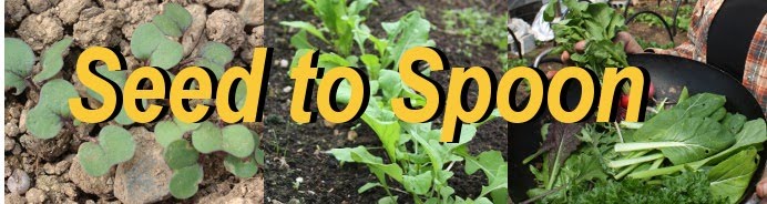 Seed to Spoon