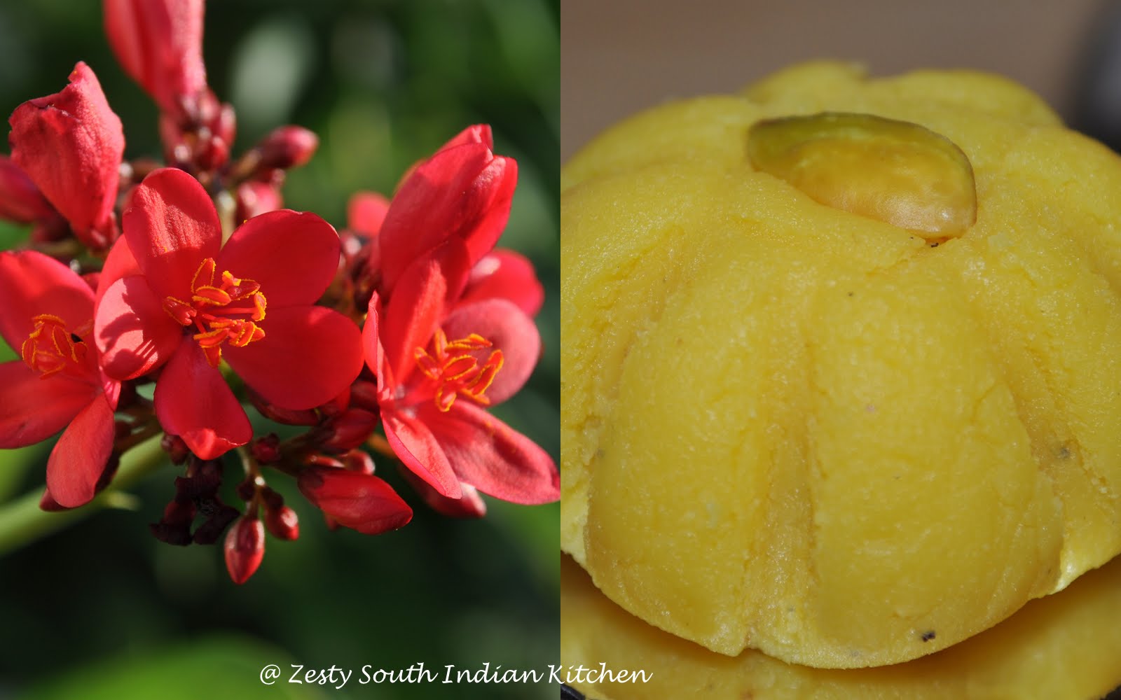 Peda: A Milk Sweet - Zesty South Indian Kitchen