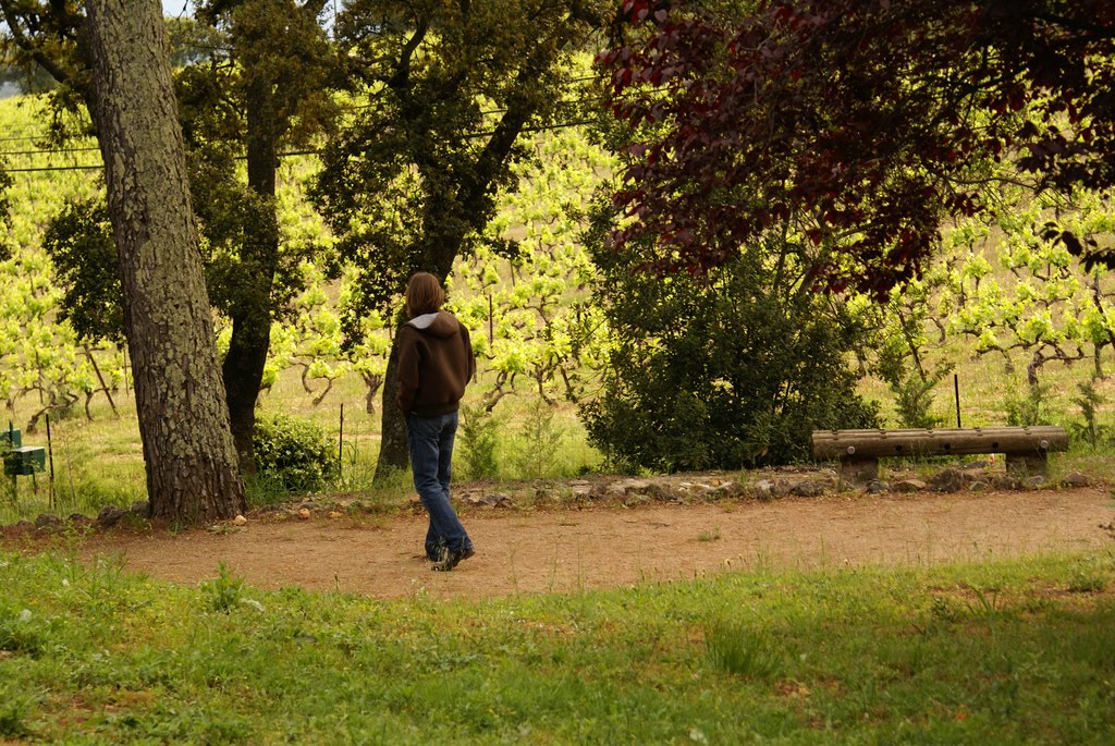 Villajelena, bienvenue: Jeu de Boules | Pétanque