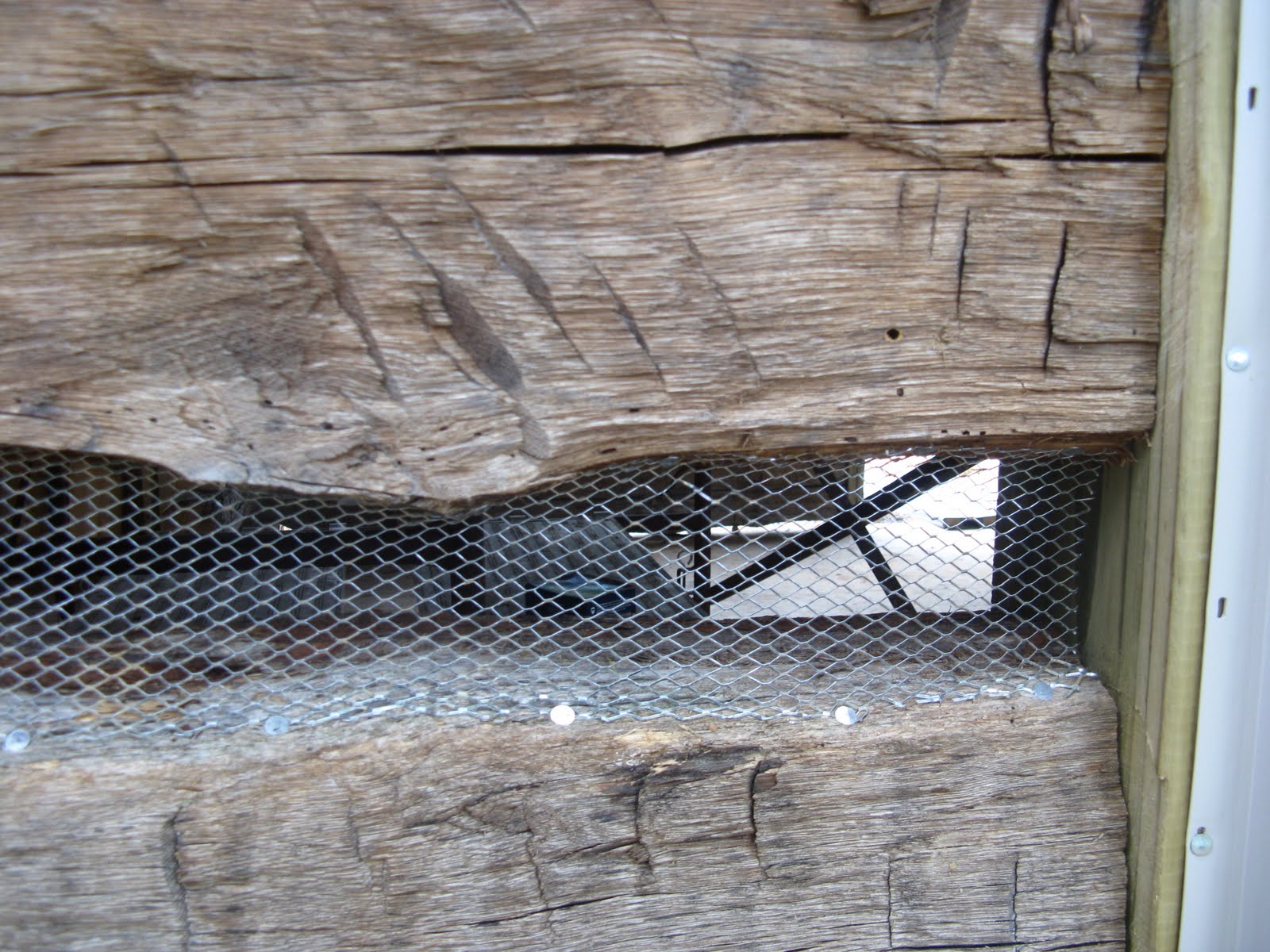 Old Log Cabin Revival