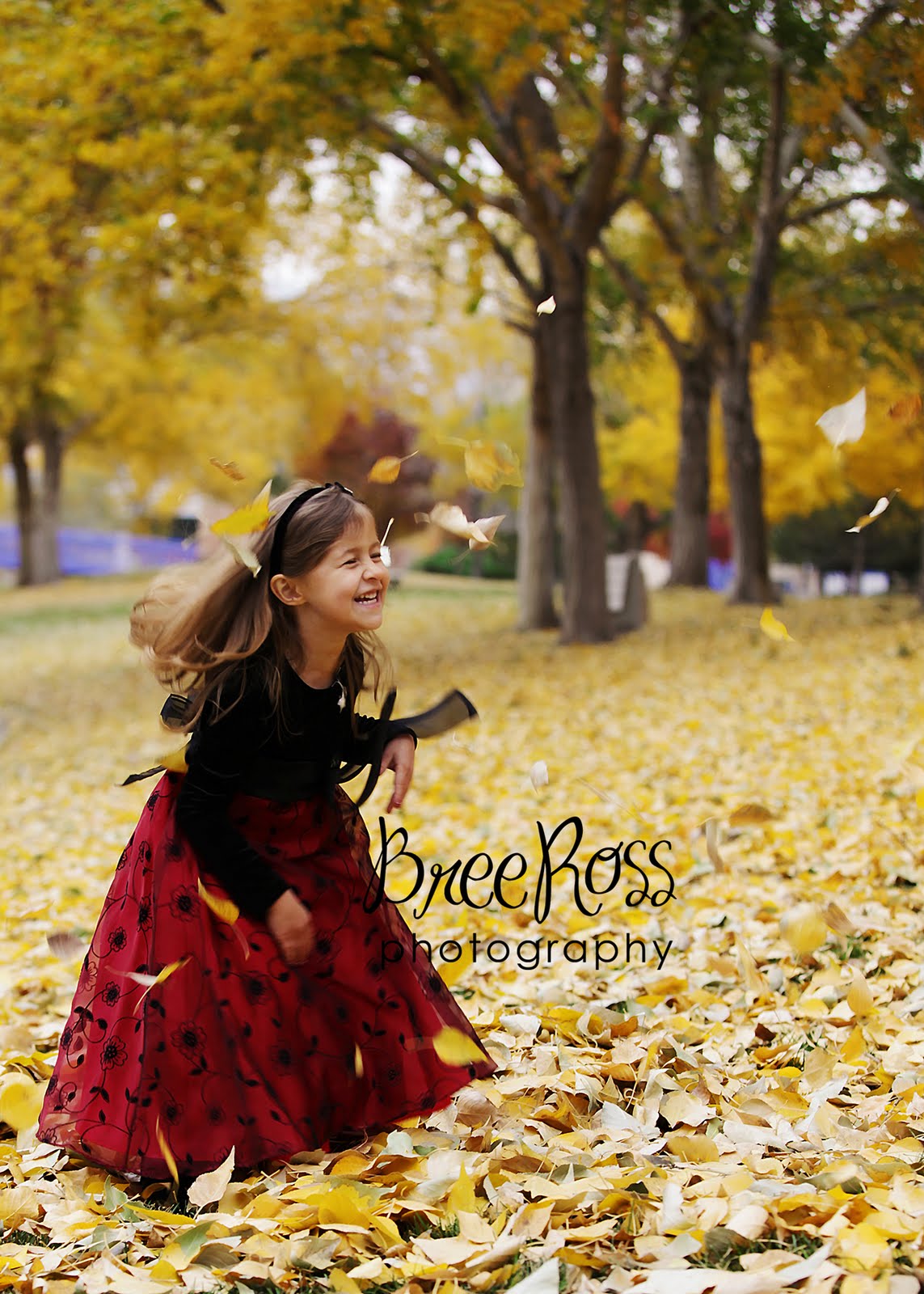 Bree Ross Photography: *Fall Frolic*Albuquerque, NM Children's ...