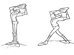 arena: ANIMATION PRINCIPLES